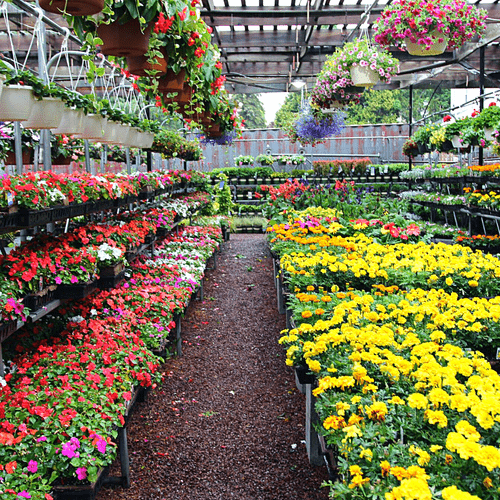 Holod's Home Garden and Rental