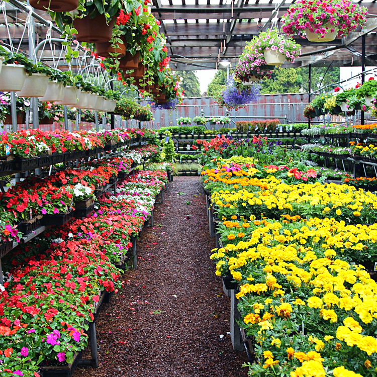 Holod's Home Garden and Rental