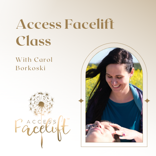 Access Facelift Class — Carol Borkoski