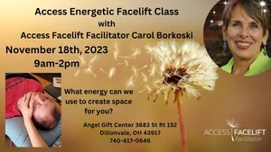 Access Consciousness Energetic Facelift Class — Carol Borkoski
