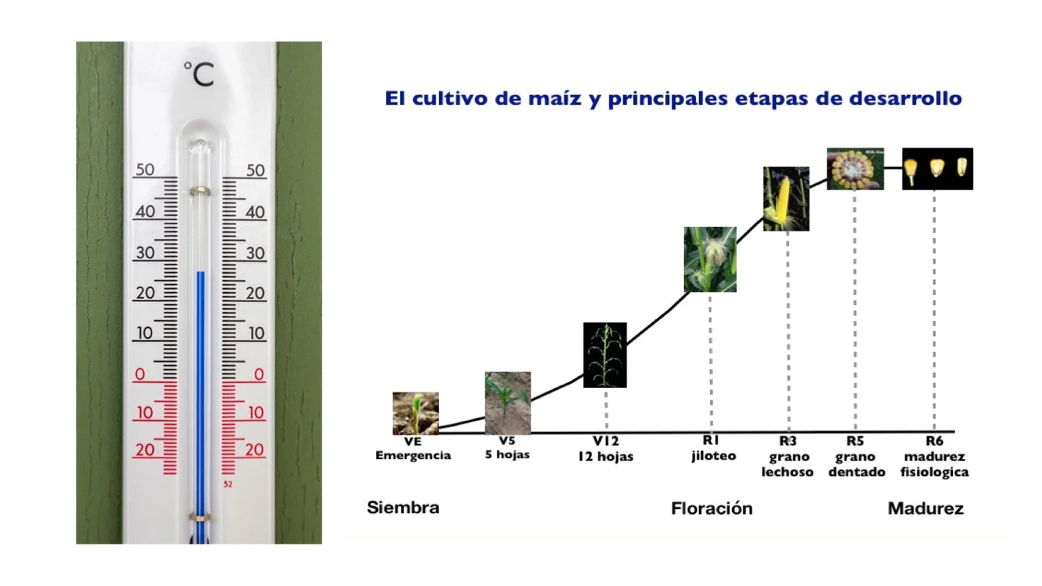 Importancia de la temperatura en la agricultura de precisión — climaproagro