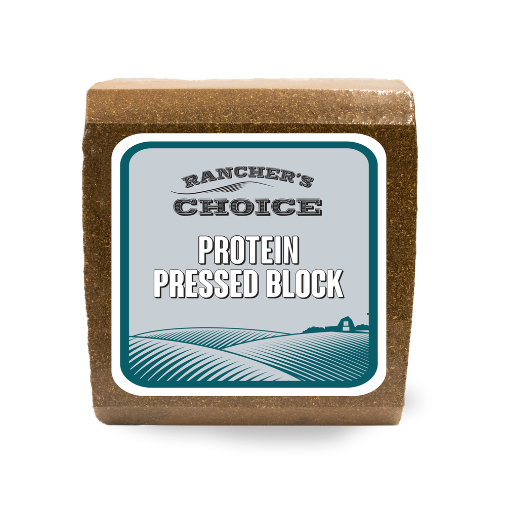 Protein Pressed Blocks | Enhance Animal Nutrition Today — Rancher's Choice