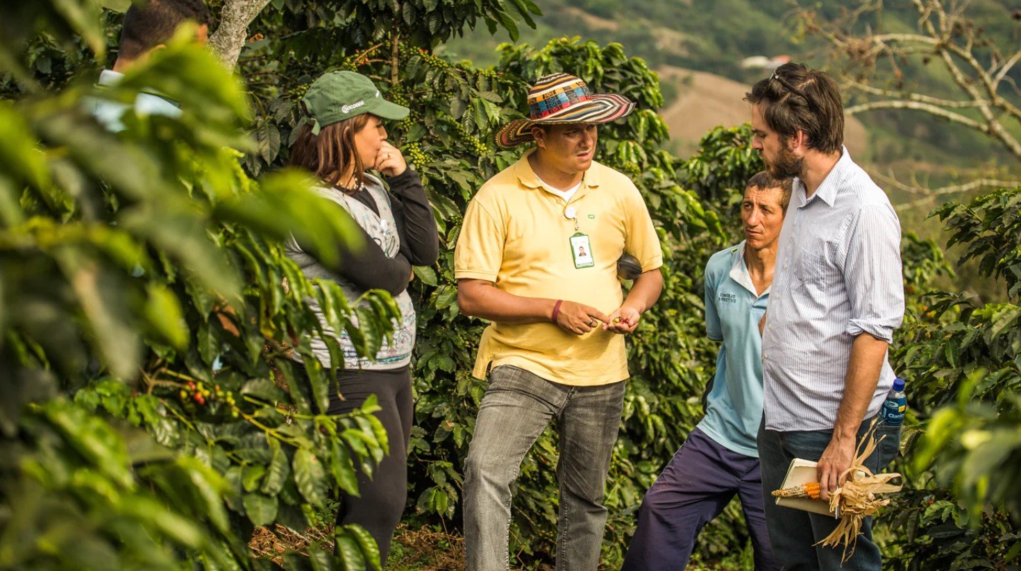 Structure Coffee Roasters : le café de ville au plus près de ses ...