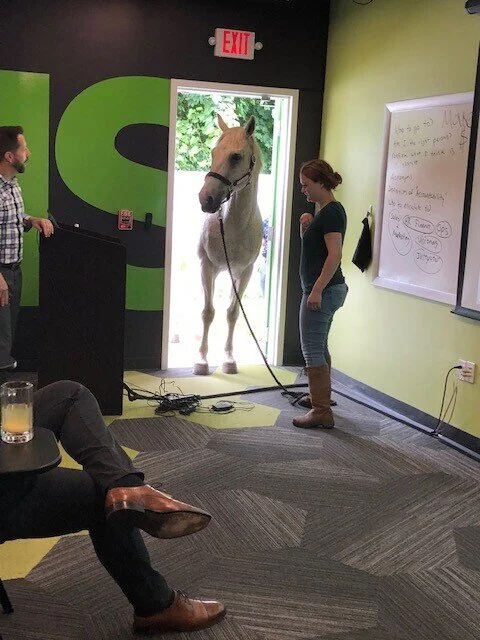 Our Culture — Paragus I.T.