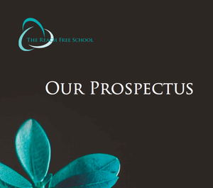 The Reach Free School