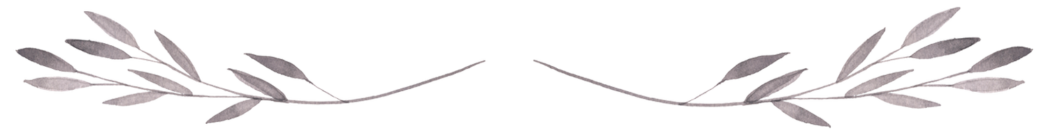 Bloom Therapy | Home