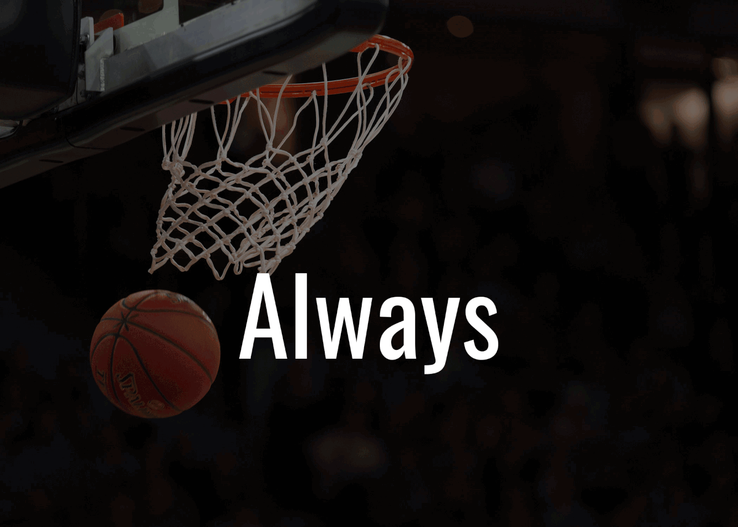 Team Delaware Basketball