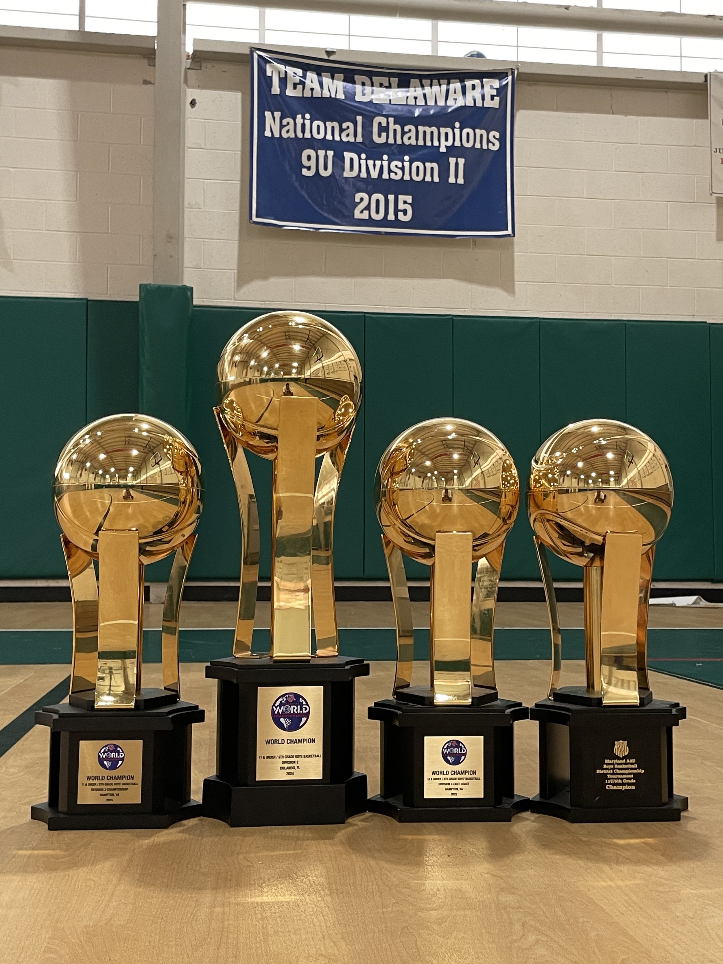 Team Delaware Basketball