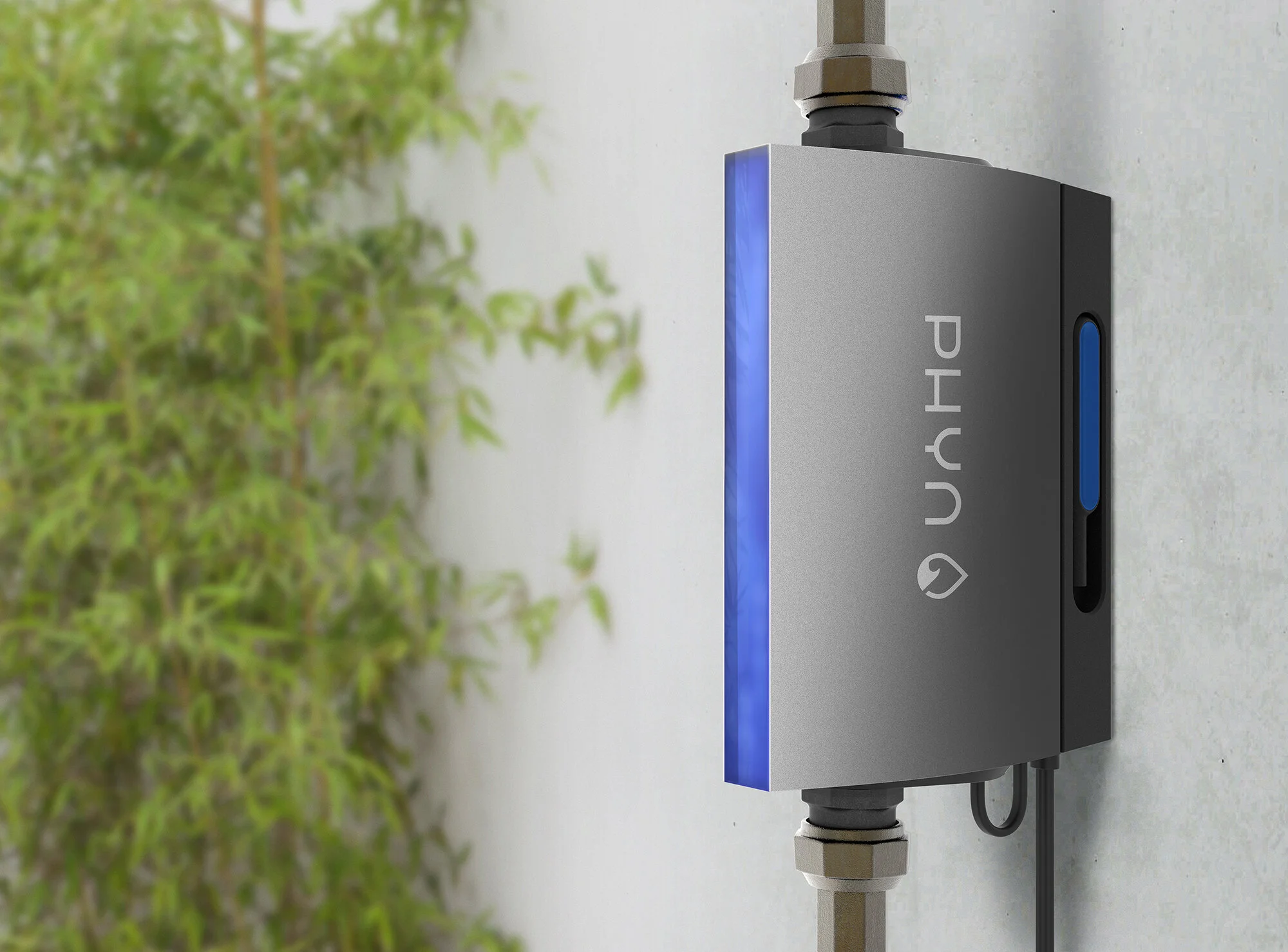 Phyn Plus — RITUAL