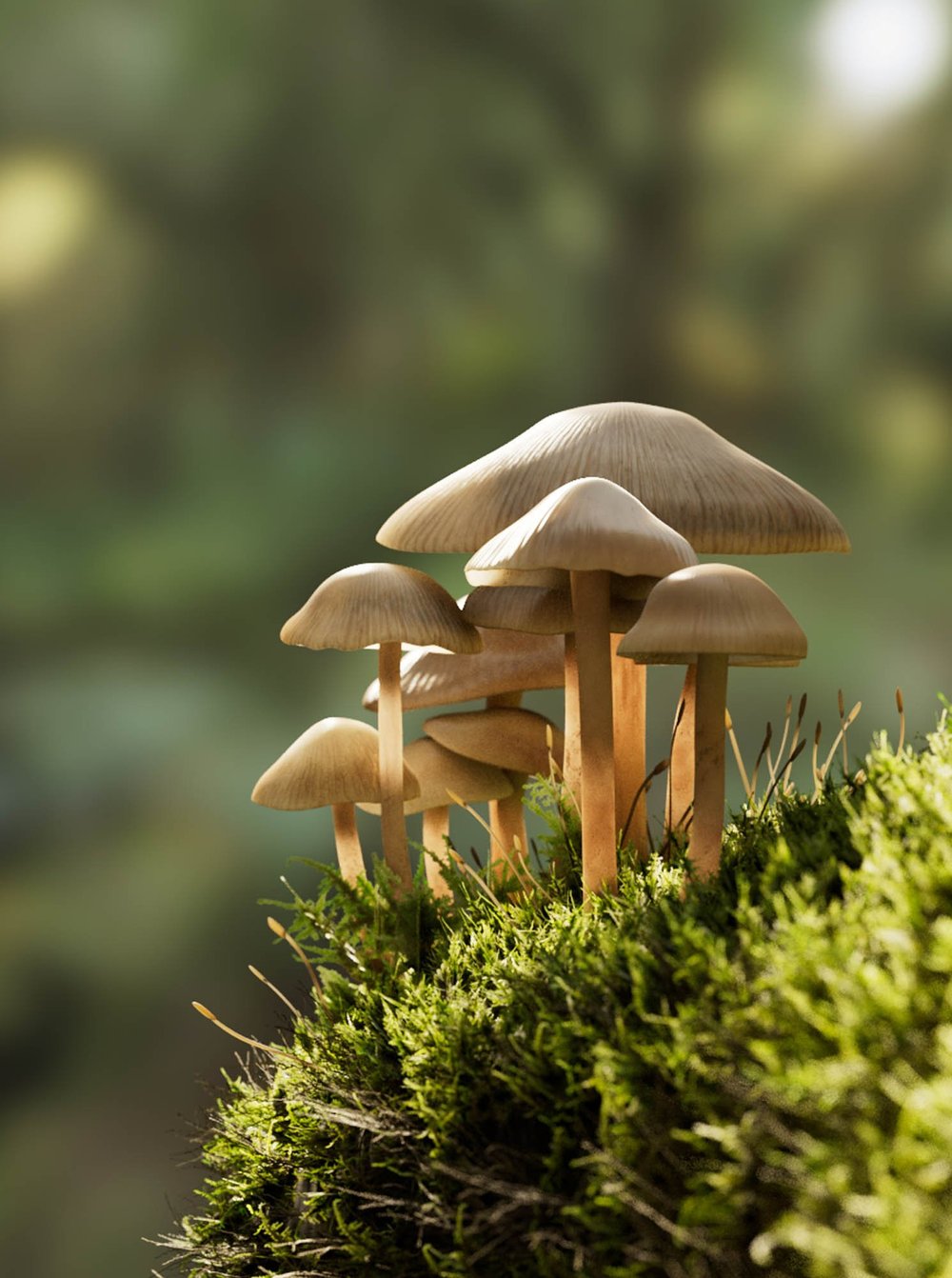 Elijah Nash — BCA (VEED) Student Showcase