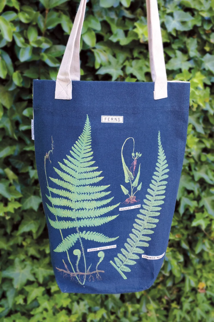 Cavallini Papers & Co.