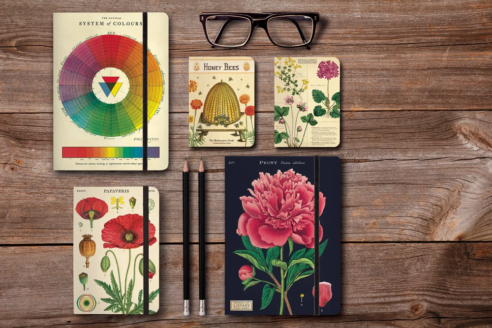 Cavallini Papers & Co.