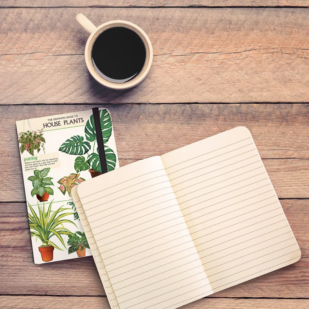 Cavallini Papers & Co.