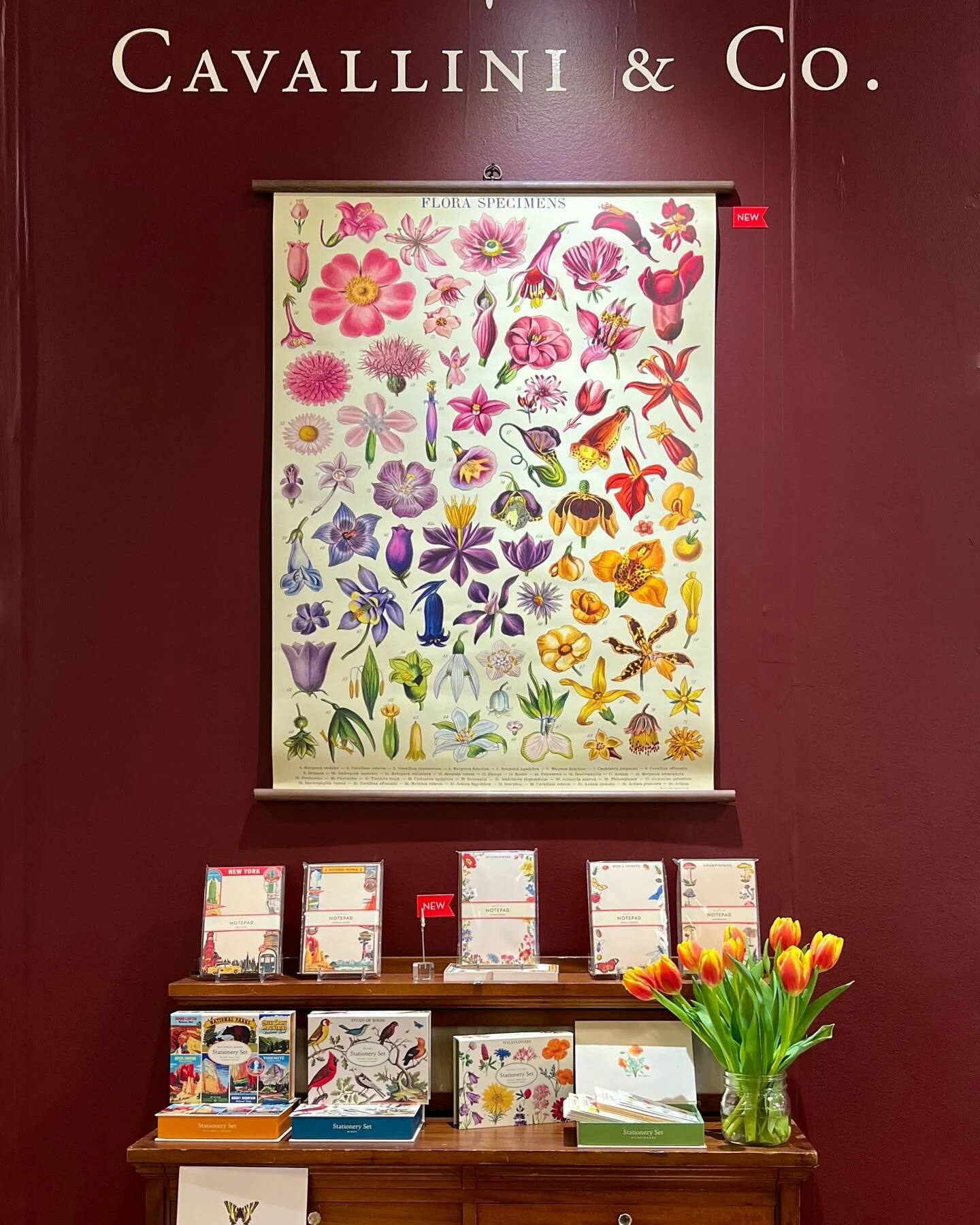 Cavallini Papers & Co