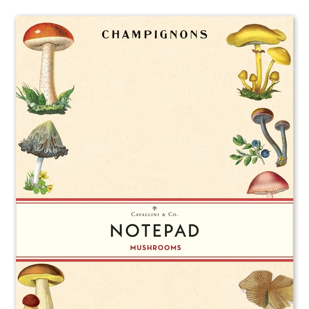 Cavallini Papers & Co.