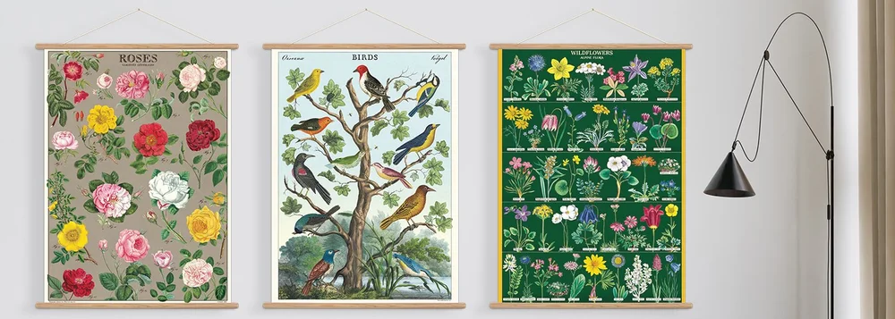 Cavallini Papers & Co.