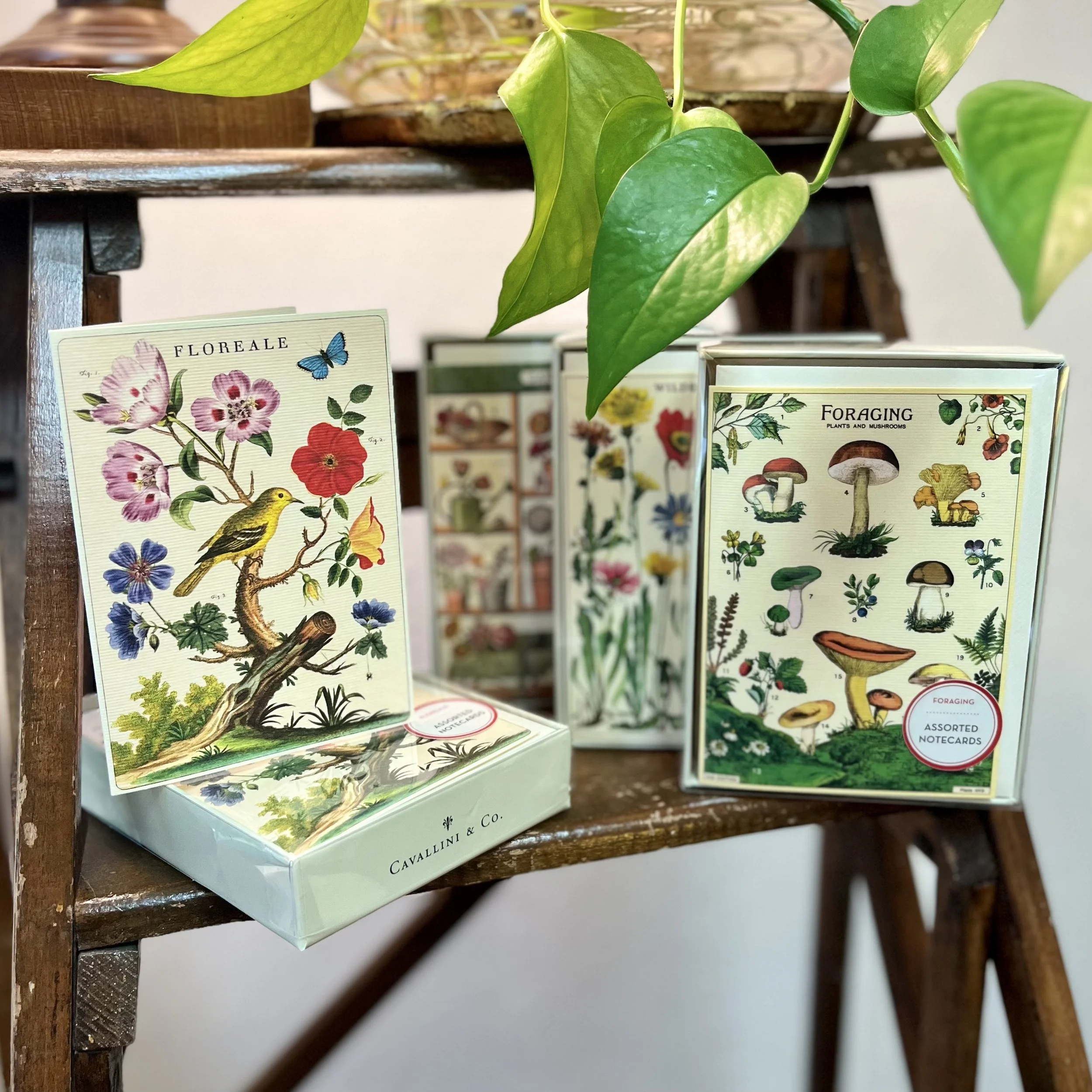 Cavallini Papers & Co.