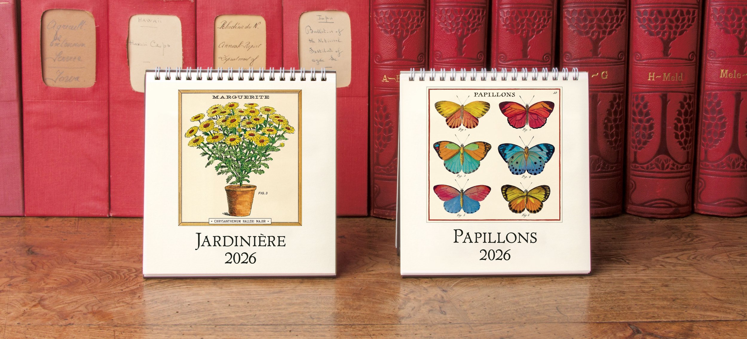 Cavallini Papers & Co