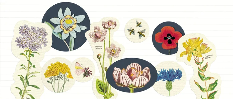 Cavallini Papers & Co.