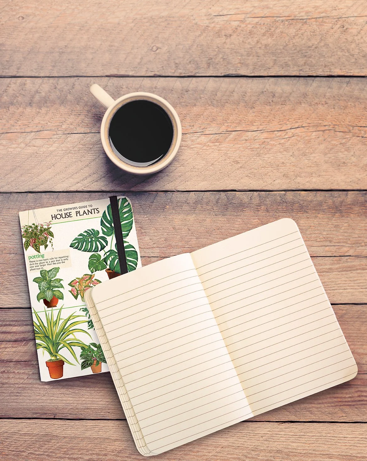 Cavallini Papers & Co.