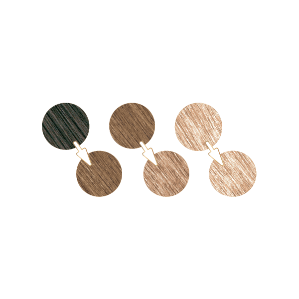 9N Honey Blond — Color & Soin