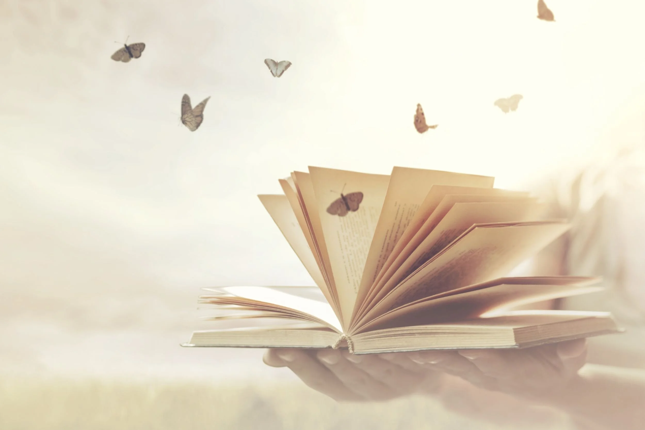 MIND BODY RESOURCES REBECCA TOLIN MIND BODY LIFE COACHING mind-body-resources-rebecca-tolin-mind-body-life-coaching