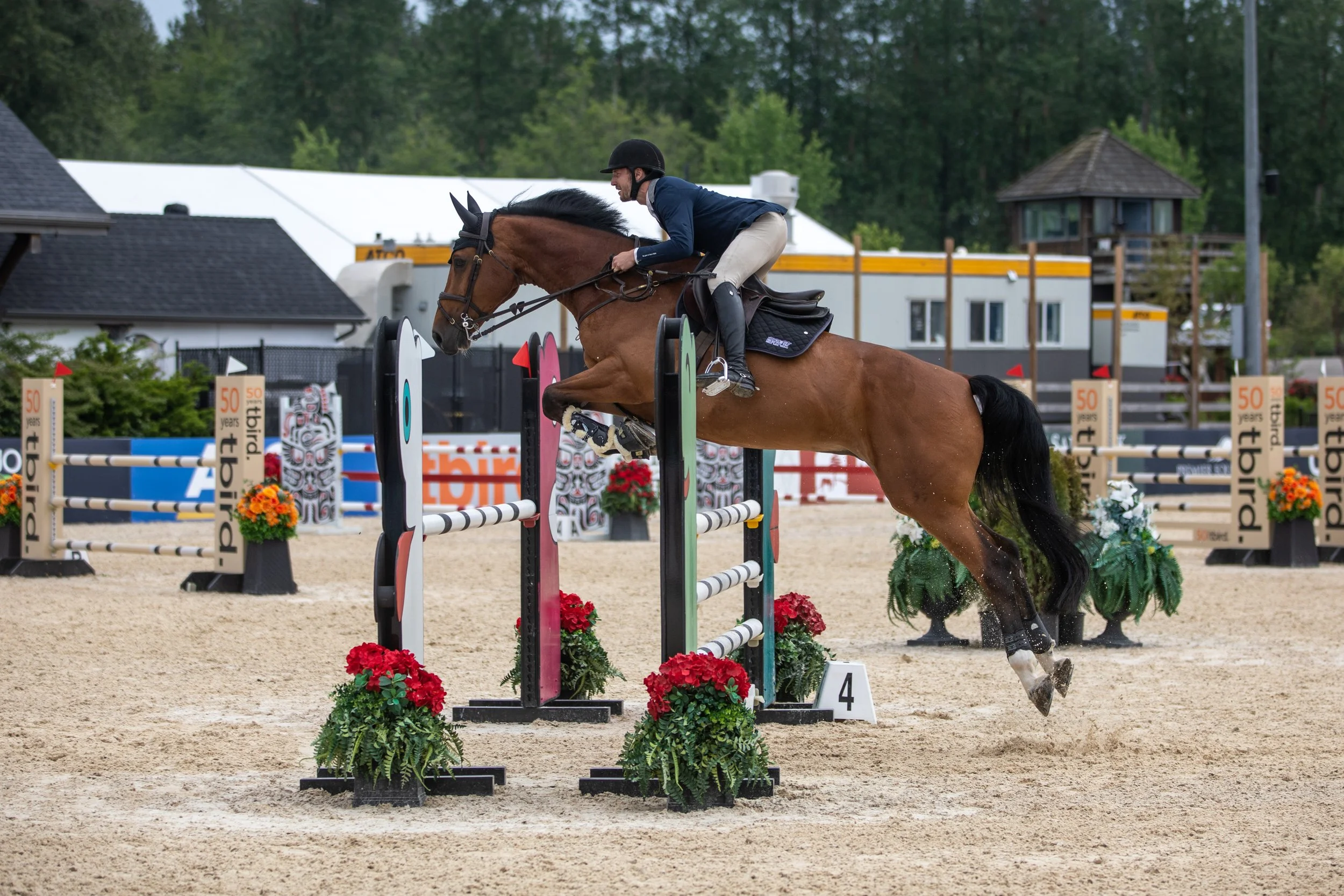 About — Dennis Equestrian