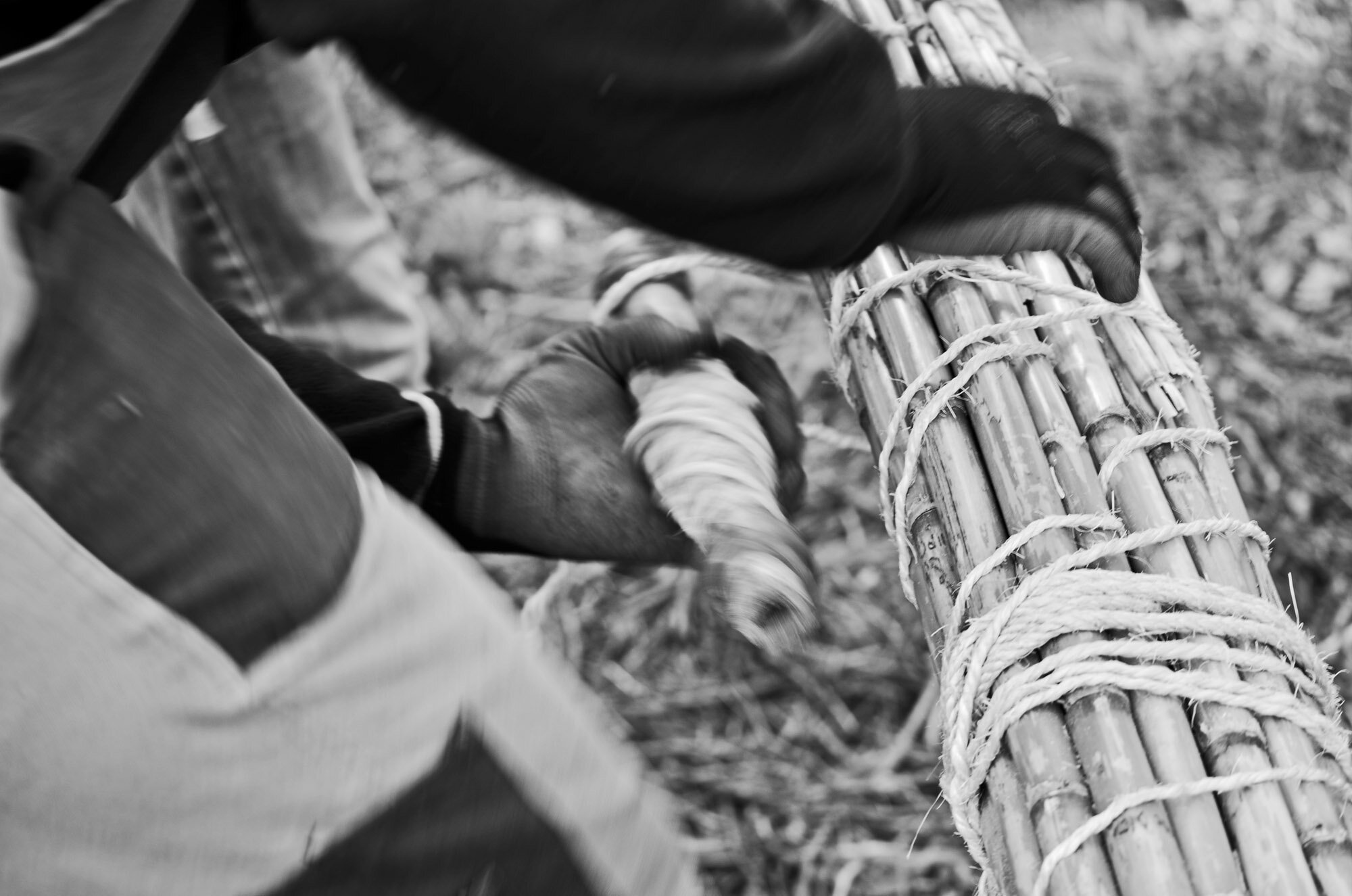 Design and Build with Mediterranean Cane — Building Impact Zero Network