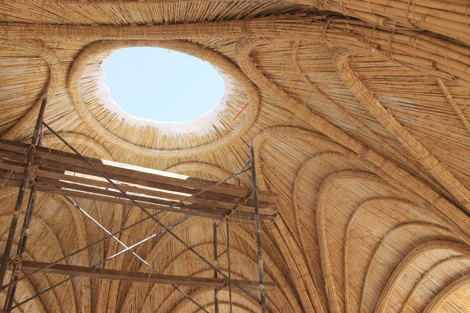 Design and Build with Mediterranean Cane — Building Impact Zero Network