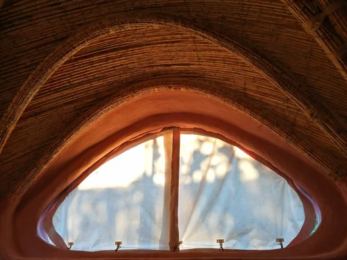 Design and Build with Mediterranean Cane — Building Impact Zero Network