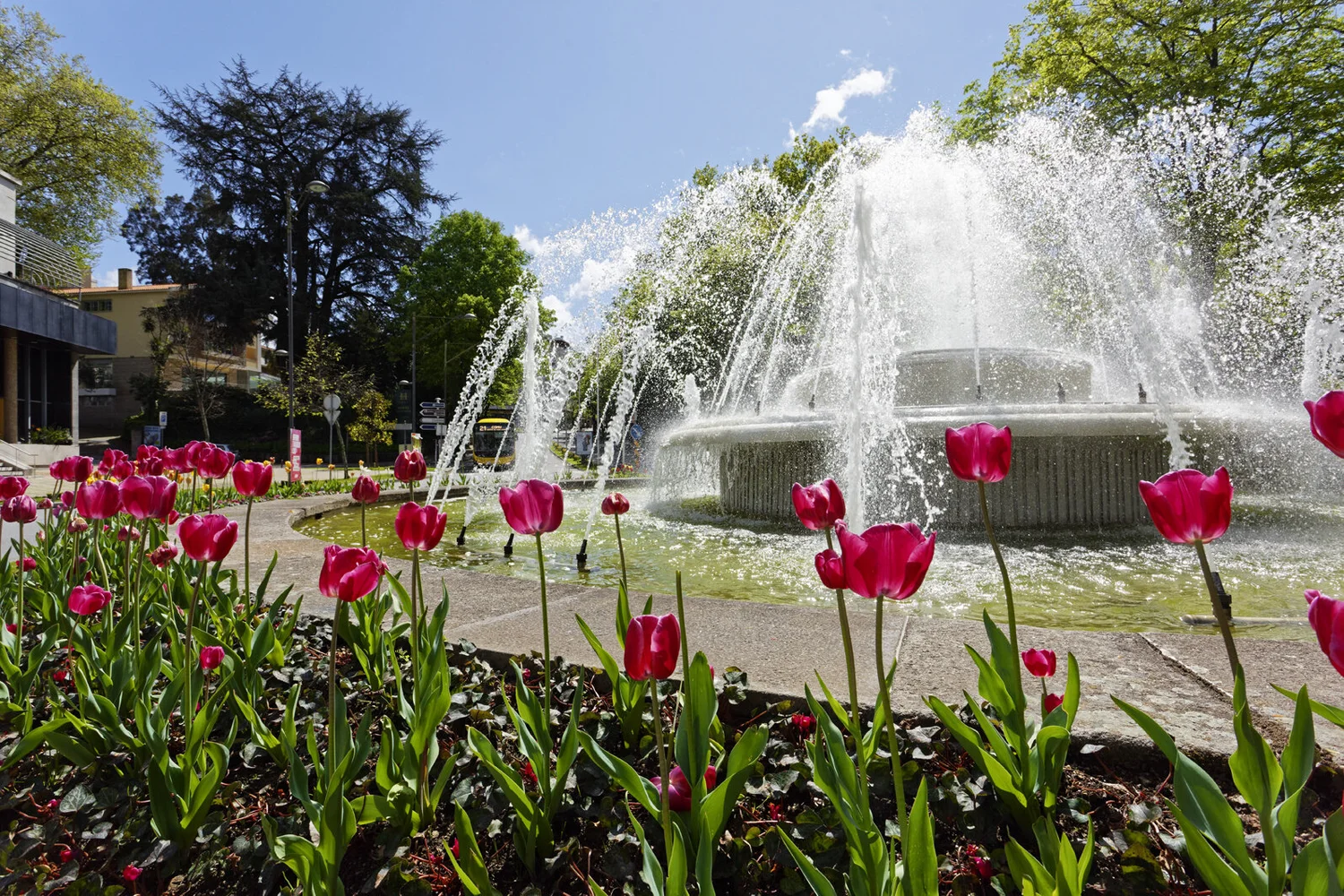 Quem Somos — VISEU MARCA - Marketing Territorial e Branding