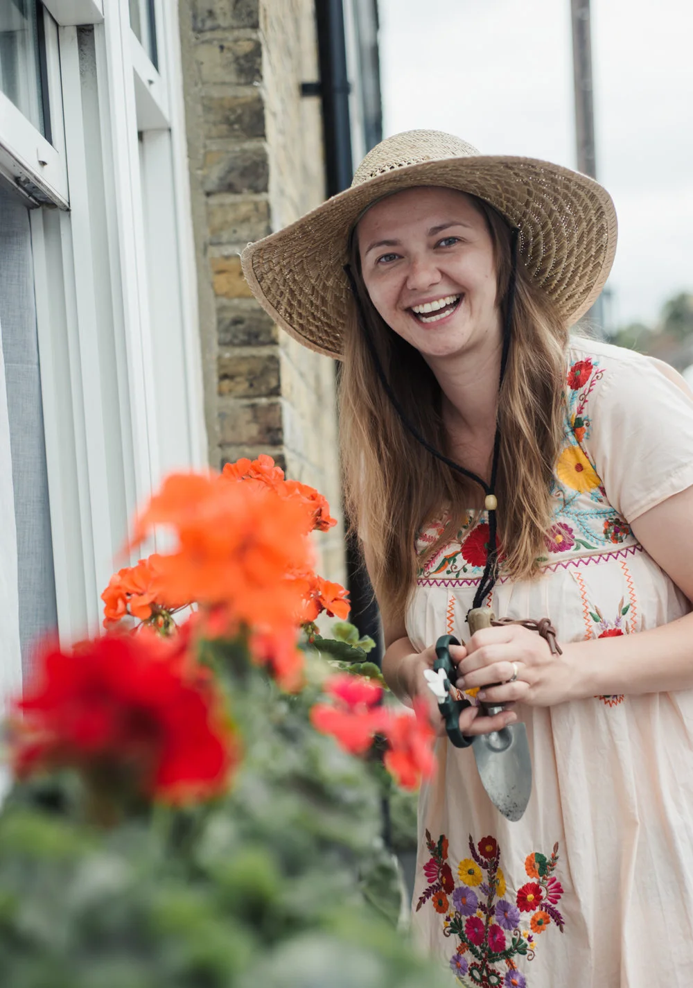 How to plant Red Geranium window boxes of dreams! | Hannah Bullivant ...