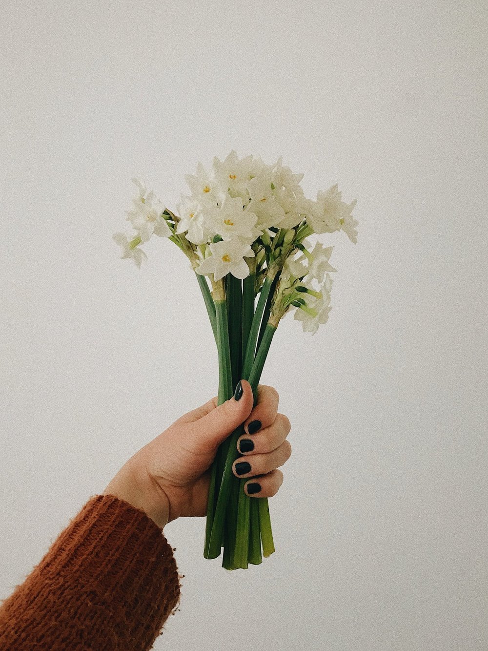 10 wonderful Things to make, do and celebrate in February | Hannah ...