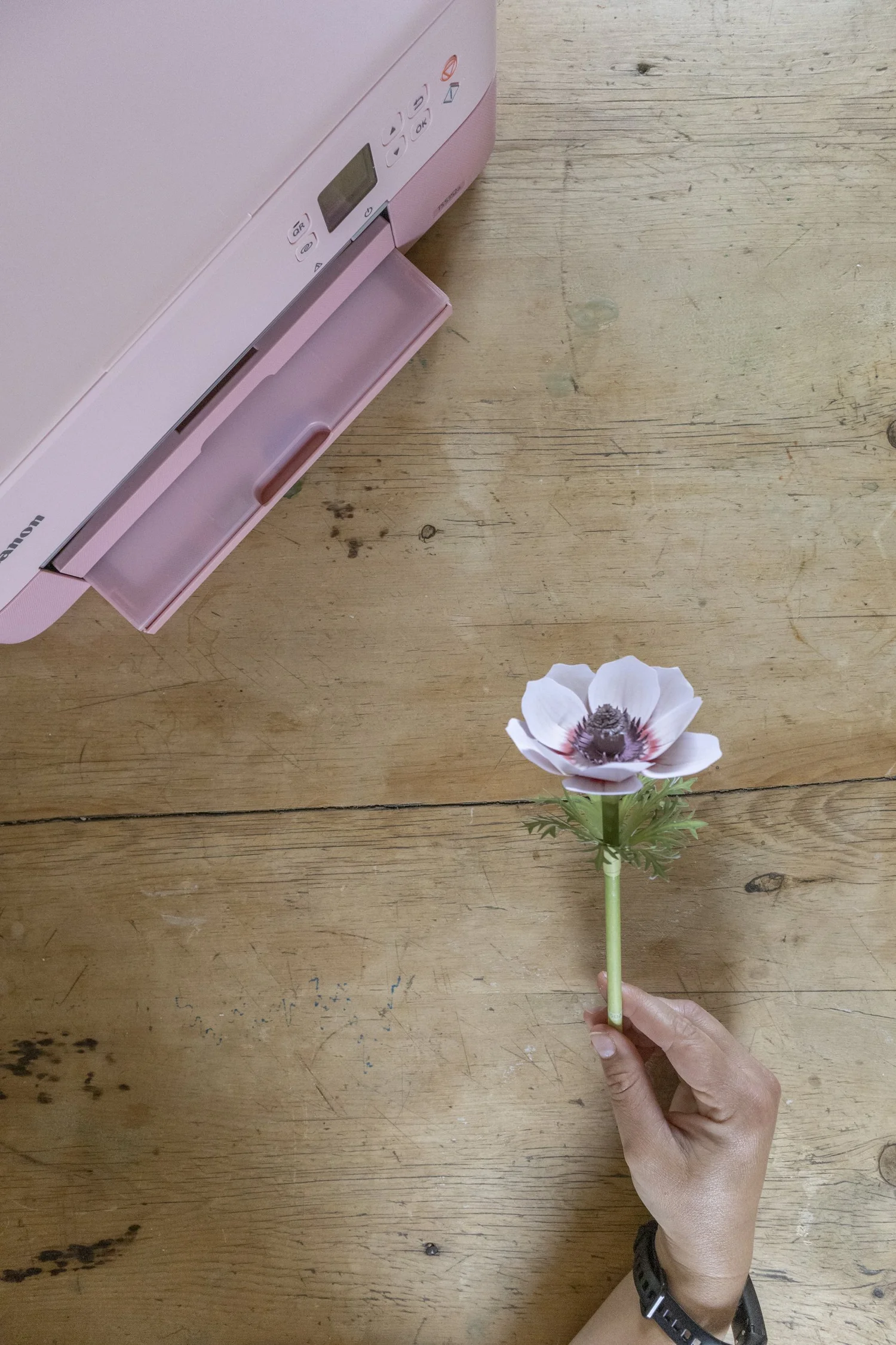 Ad: Making paper flowers with Canon Pixma | Hannah Bullivant • Interior ...