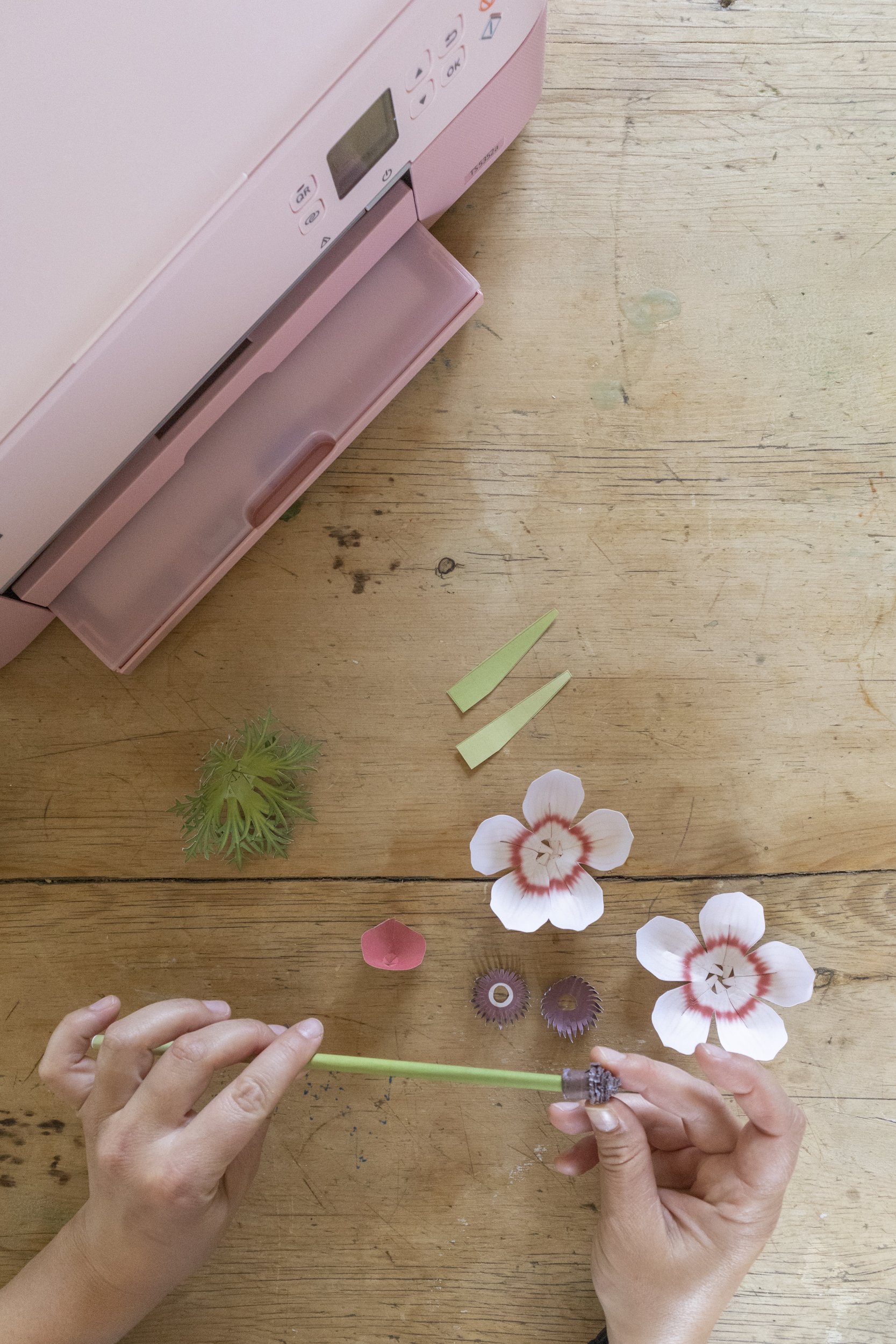 Ad: Making paper flowers with Canon Pixma | Hannah Bullivant • Interior ...