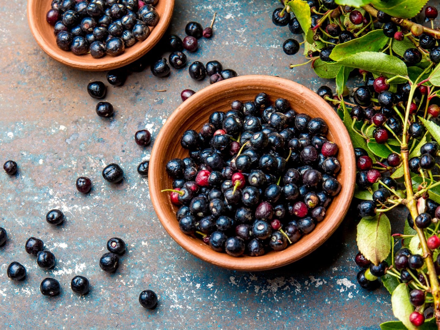 Conoce algunos deliciosos frutos exóticos de Chile — Un Momento Para Ti