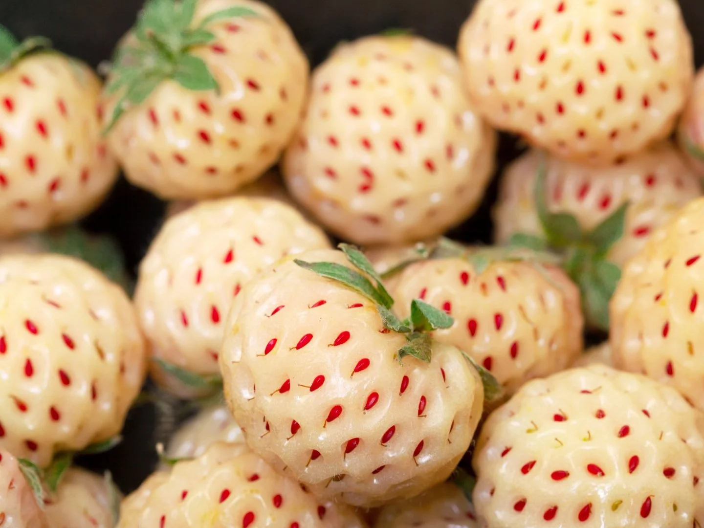 Conoce algunos deliciosos frutos exóticos de Chile — Un Momento Para Ti