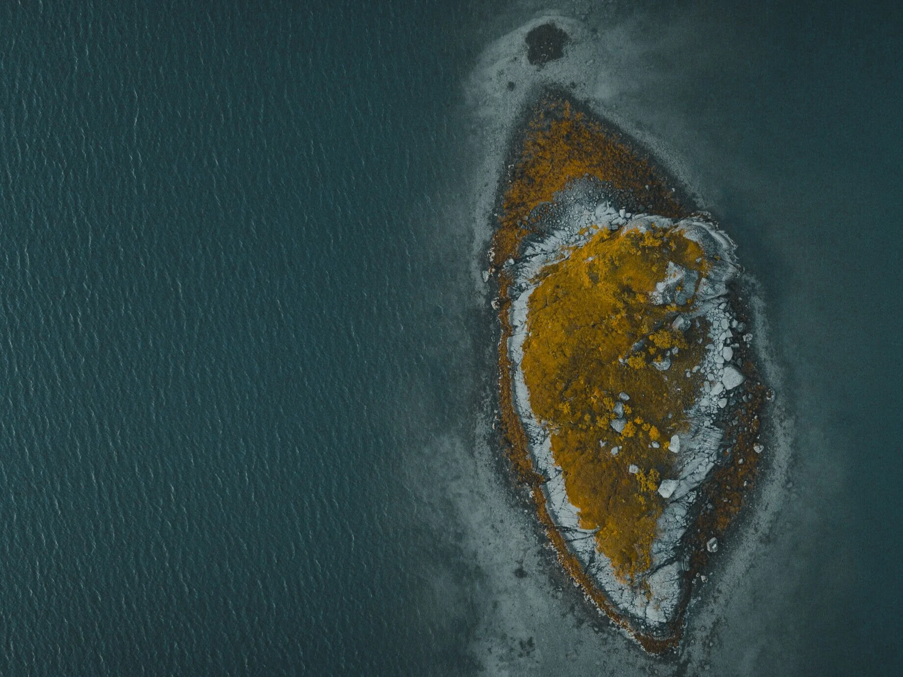 DataBridge | Take Back Your Data