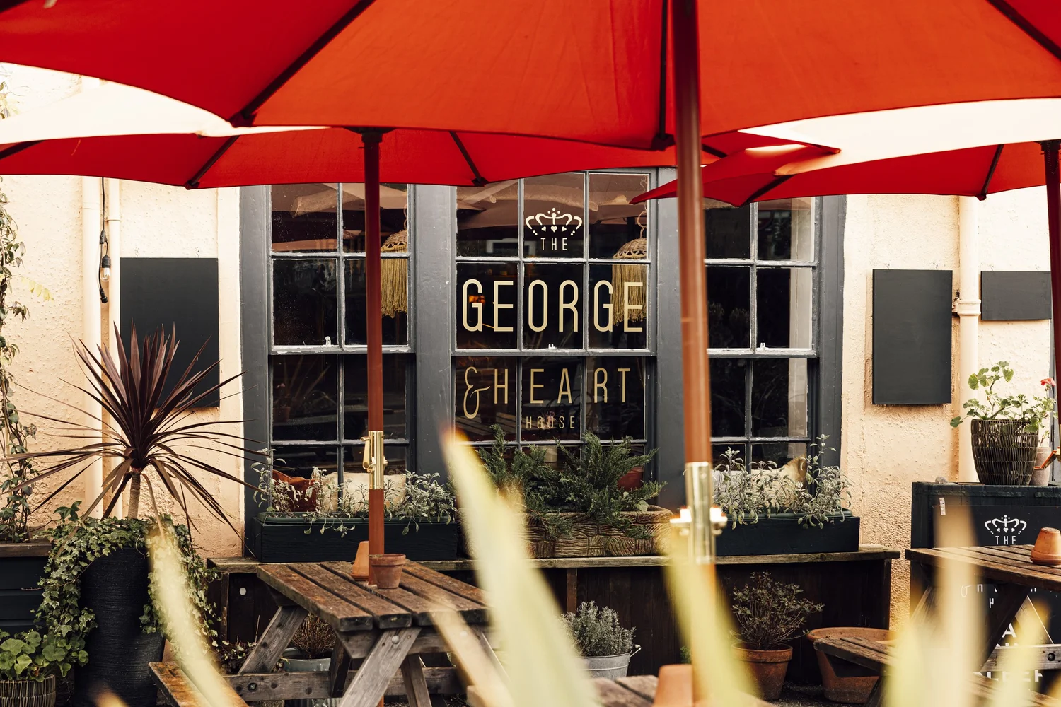 The George and Heart