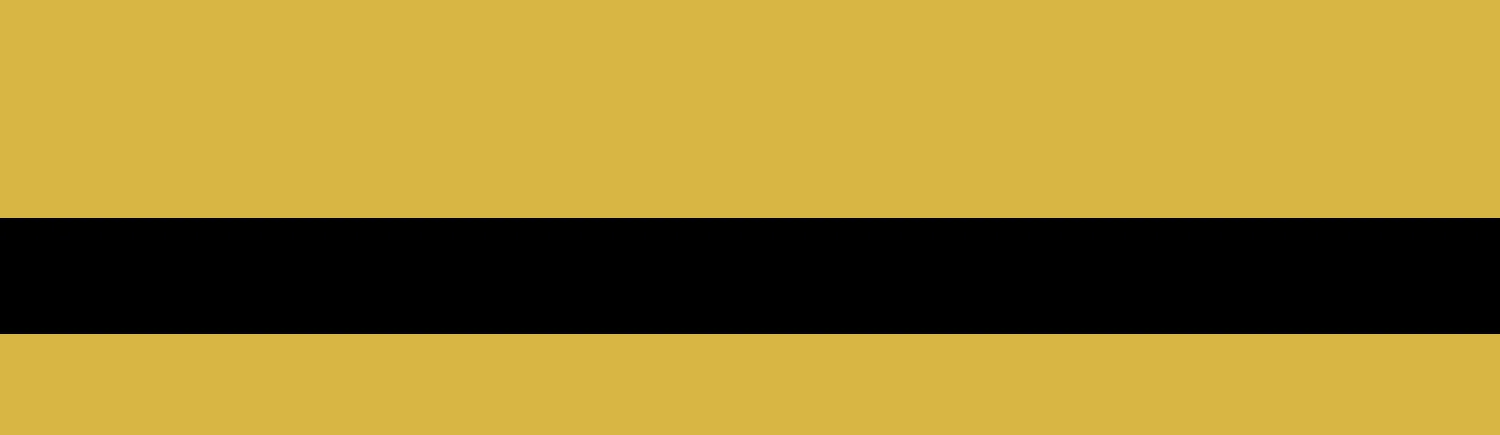 Media — Mike Zinn