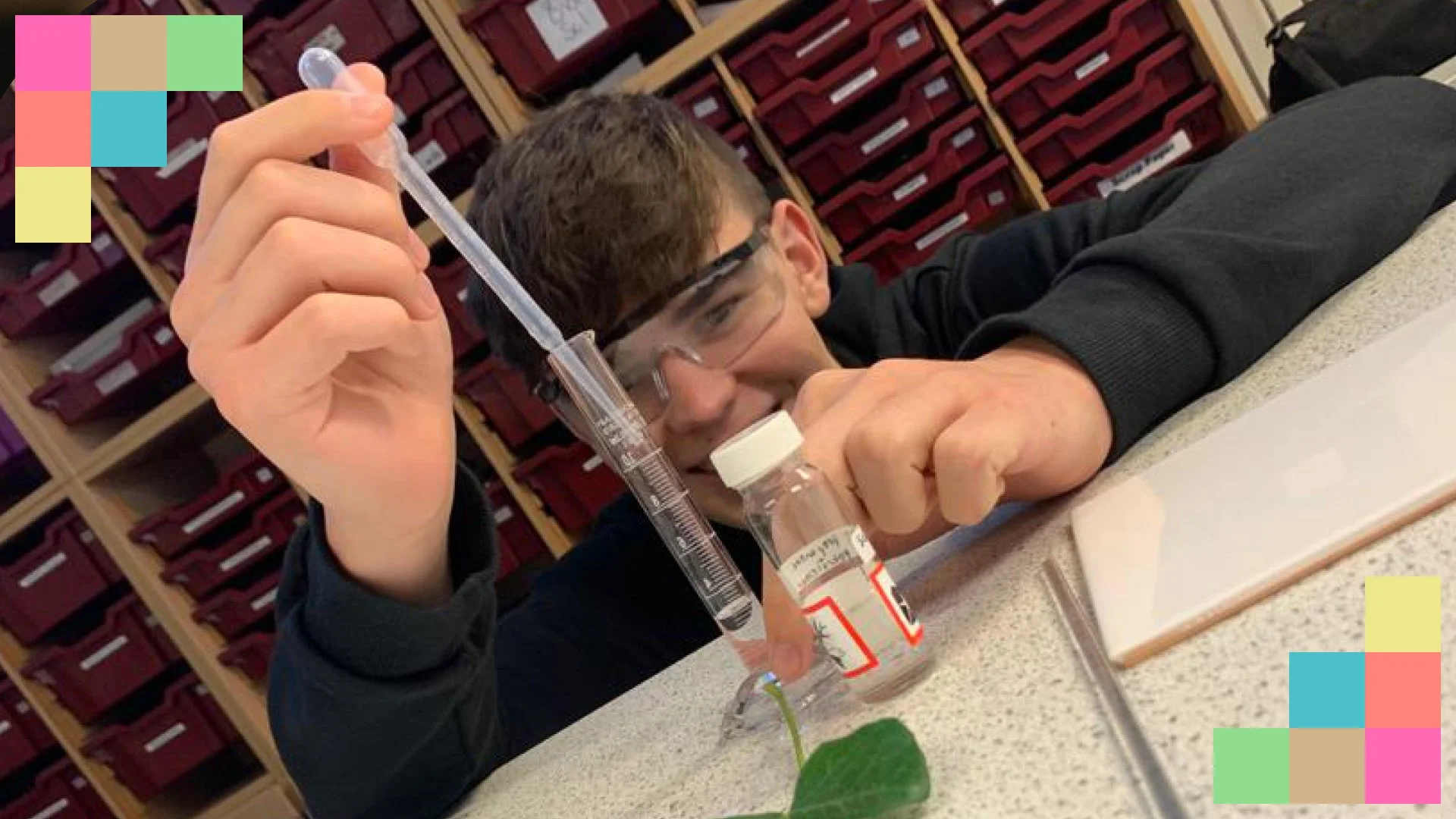 Courses — Felpham Sixth Form