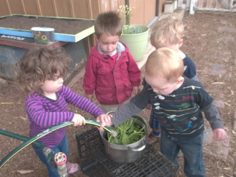 Growing Babies Infant Center and Here We Grow Early Learning Center ...