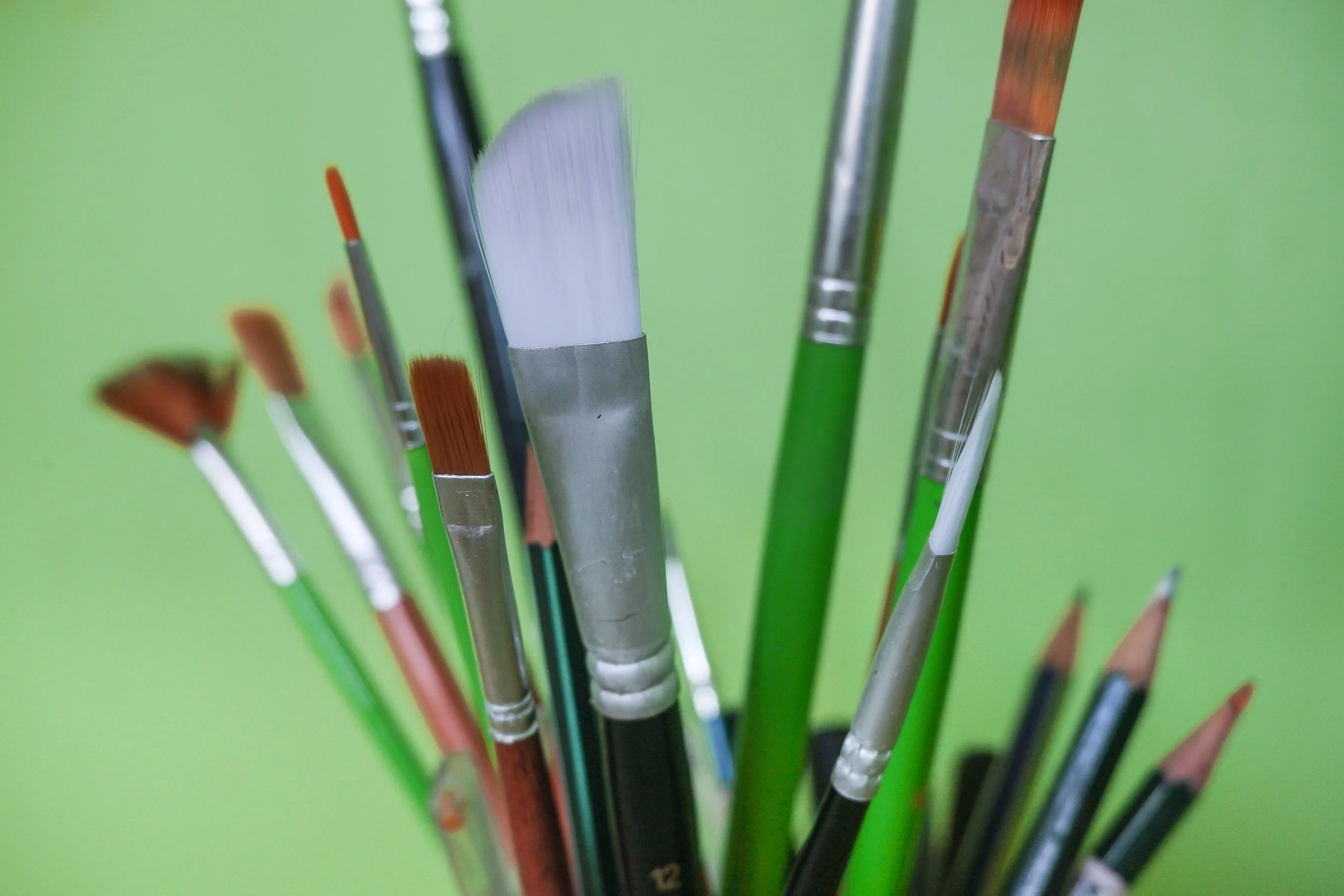 Newsletters — Botanical Art Society of New Zealand