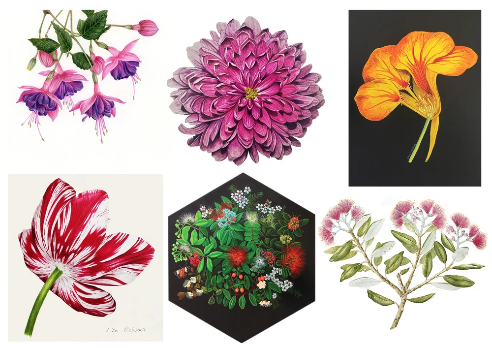 About — Botanical Art Society of New Zealand