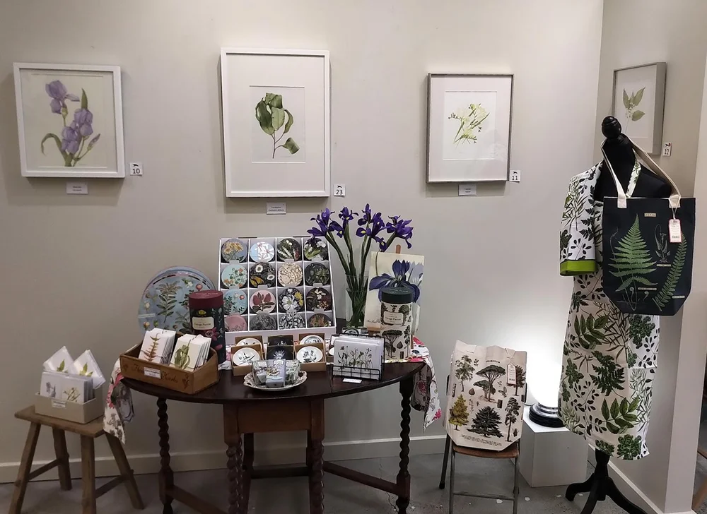 'Botanica' 2022 — Botanical Art Society of New Zealand