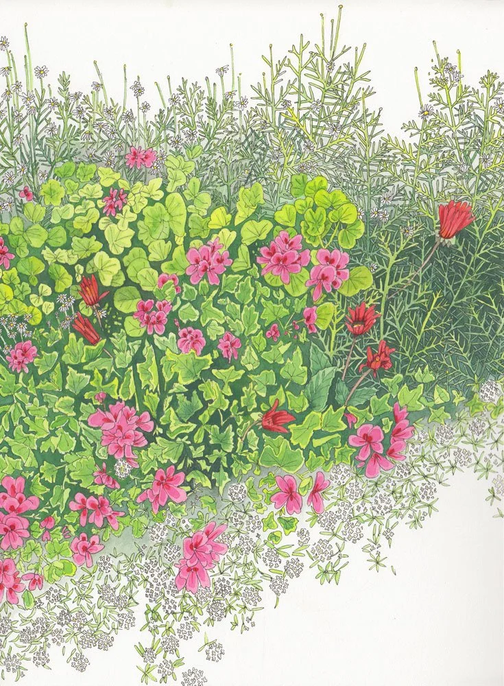An Exciting opportunity for Auckland Secondary Students — Botanical Art ...