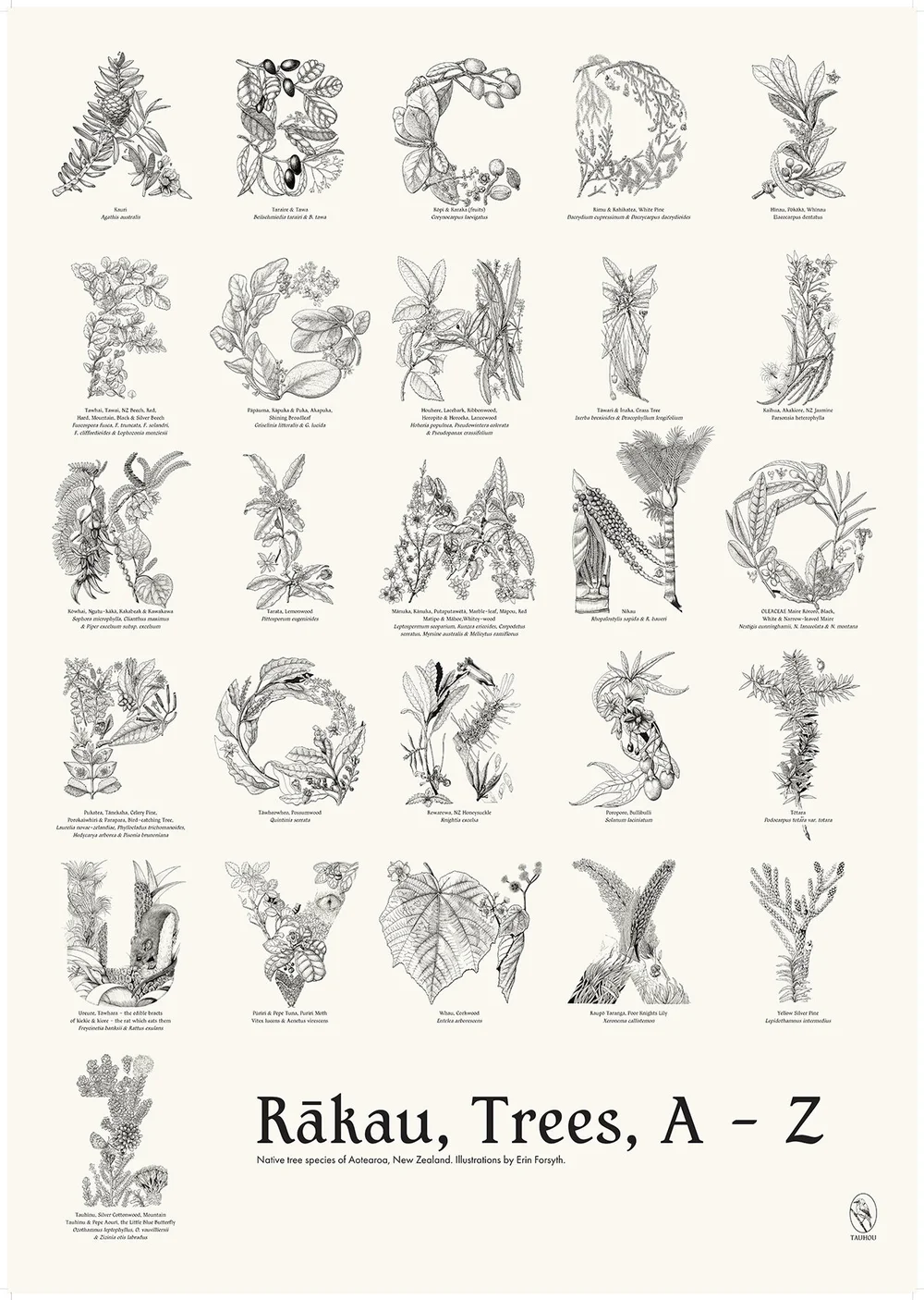 Erin Forsyth — Botanical Art Society of New Zealand