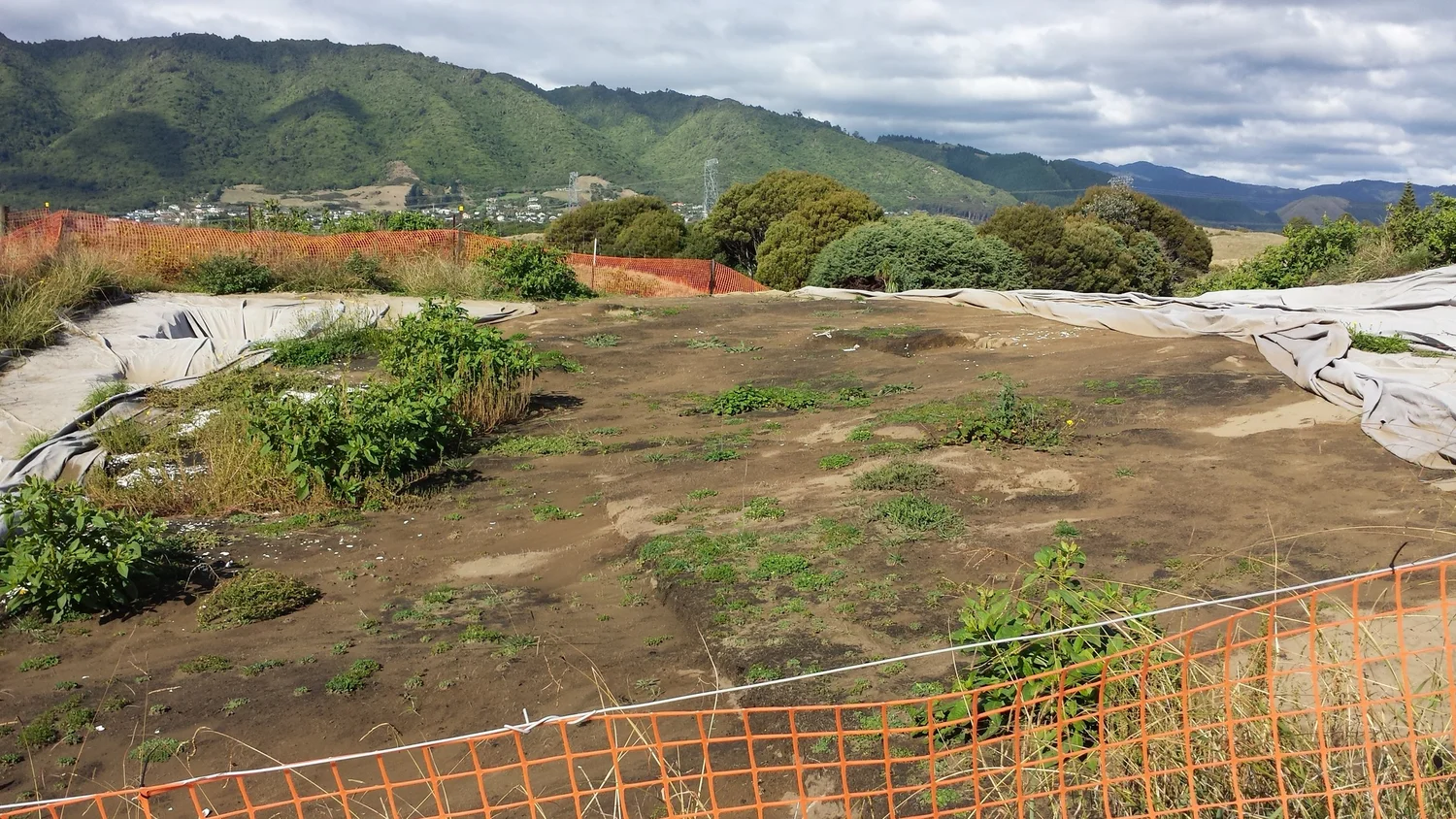 M2PP Archaeological Investigation — Goodman Contractors Limited