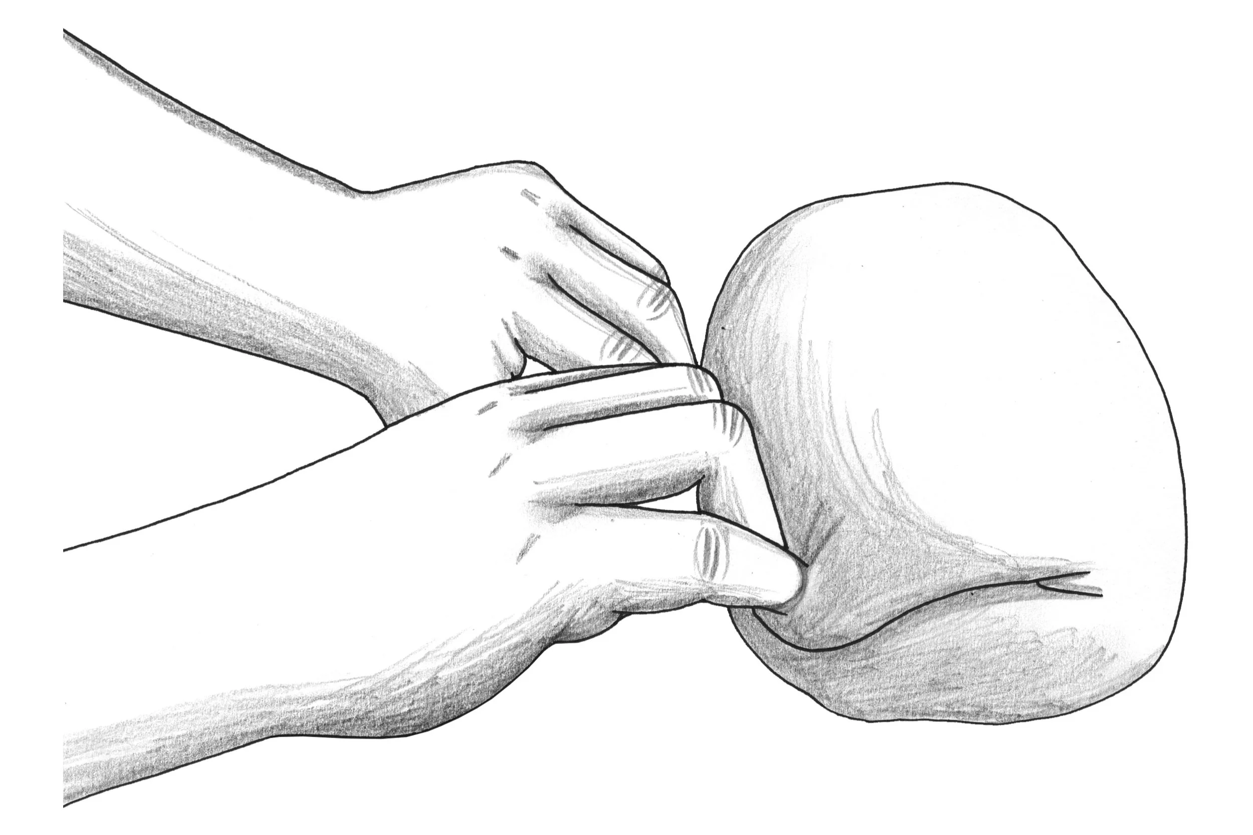 Bake & Pray Method — Kendall Vanderslice