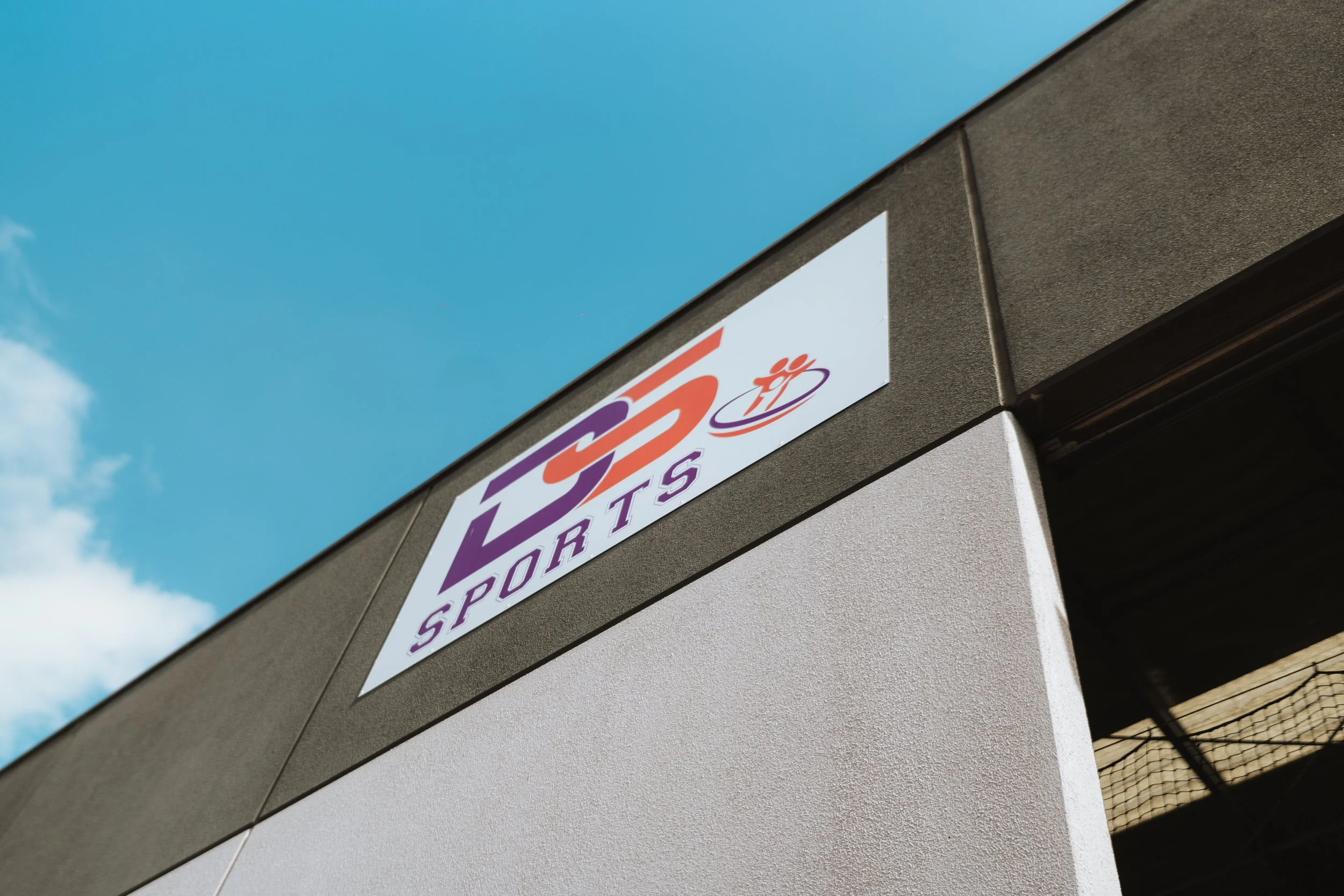 DS Factory Parties — DS Sports